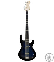 Магазин музичних інструментів Трембіта та Орфей